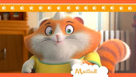 Meet Meatball! | Video | 44 Cats